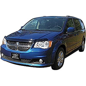 Stampede 2263-2 Smoke Bug Shield