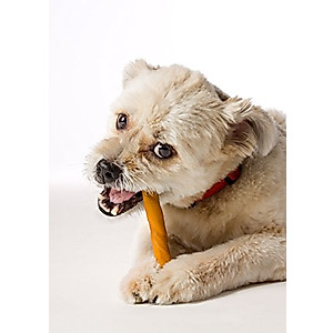 Hartz Oinkies Natural Smoked Pig Skin Twist Dog Treat Chews - 20 Pack