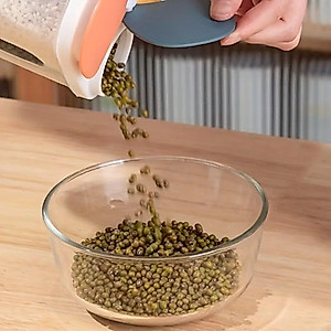 Typutomi Airtight Cereal Storage Container, Clear 4 Grid Grain Storage Tank Food Storage Container with Lids Noodle Storage Box for Grain, Nuts,Rice, Candy, Snacks(Dark Colored Lid, 2.3L)