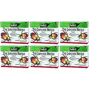 Japanese Beetle Trap