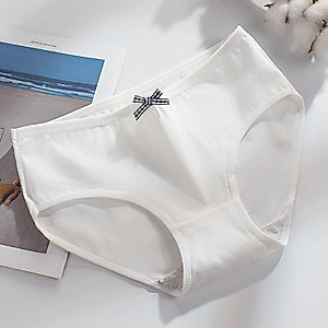 Women Seamless Panties Underwear Mid Waist Briefs Lingerie Soft Cotton Lingerie Set Of 5 Large Colors (White, Light Pink, Dark Pink, Grey, Sky Blue)