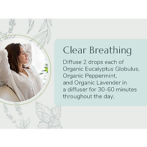 Plant Therapy Top 6 USDA Organic Essential Oil Set - Lavender, Peppermint, Eucalyptus, Lemon, Tea Tree 100% Pure, Natural Aromatherapy, for Diffusion & Topical Use, Therapeutic Grade 10 mL (1/3 oz)