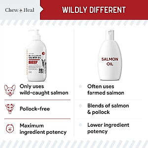 Pure Wild Alaskan Salmon Oil for Dogs - 16 oz. Beef Flavored Salmon Oil - Pump Cap Bottle - Contains Omega-3 and 6, EPA, and DHA for Healthy Skin and Coat - Toxin Free