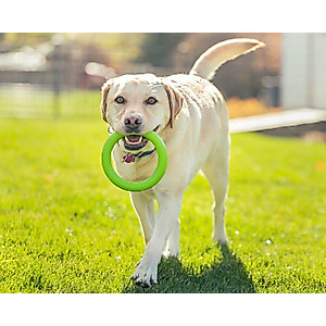 Roscoe's Pet Products Natural Rubber Ring Chew Toy. Safe and Non-Toxic.