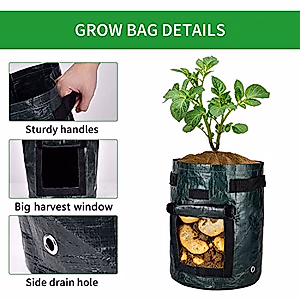 iPower 3-Pack 10-Gallon Potato Grow Bags Garden Waterproof Reusable Vegetable Plant Pots Container with Handle, Access Flap and Large Harvest Window, 10 Gallon, for Tomato, Carrot, Fruits