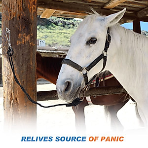 Nuenen Horse Tie Ring Stainless Steel Horse Tack and Supplies Safety Horse Accessories with Eye Bolts and Snaps Saddle Horse Training Equipment for Pulling(Silver,3 Sets)