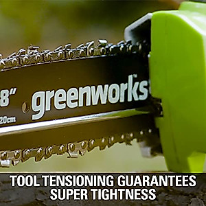 Greenworks 40V 8-inch Cordless Pole Saw with Hedge Trimmer Attachment 2.0Ah Battery and Charger Included, PSPH40B210