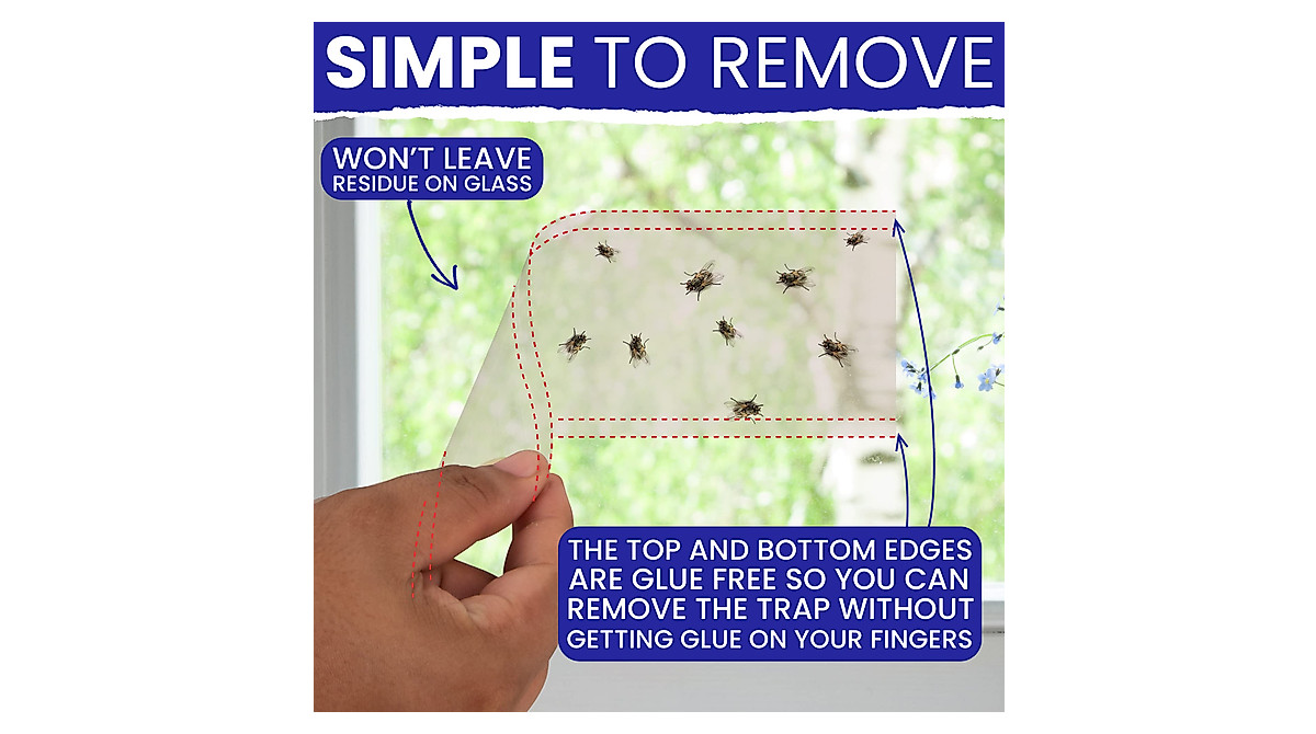 Window Fly Traps Indoor Clear 15pk Strips Indoor. The Only Double Strip ...