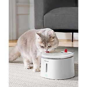 Homerunpet Cat Water Fountain Porcelain-Tray with Self-Cleaning Wireless-Pump, Ultra Quiet Pet Water Fountain for Cats and Dogs, Easy to Clean and Assemble, Filters Included, Smart LED Light, 68oz/2L