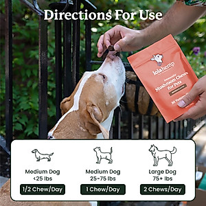 Lolahemp Mushroom Supplement for Dogs - Tasty Chews with Organic Mushroom Complex for Immune System & Cognitive Health - Turkey Tail, Reishi, Shiitake, Maitake & Lion's Mane