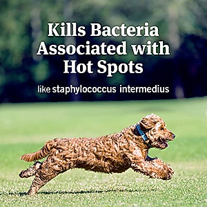 PetArmor Hot Spot Skin Remedy for Dogs, 4 oz