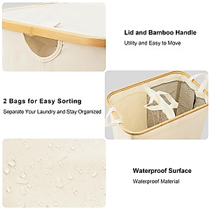 Double Laundry Hamper with Lid and Removable Laundry Bags,145L Large Laundry Hamper 2 Section Collapsible Dirty Clothes Hamper for Laundry Room,College Dorm,Bathroom Beige