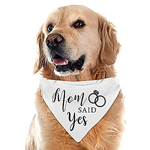 Dad Asked and Mom Said Yes Dog Bandana, Wedding Engagement Photos Bridal Shower Gift Puppy Dog Pet Bandanas, Pet Accessories for Dog Lovers, Maid of Honor Wedding Dog Bandana, Pack of 2