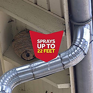 Raid Wasp and Hornet Killer Spray, Kills the entire nest, Kills Paper Wasps, Yellow Jackets, Mud Daubers and more, 14 oz