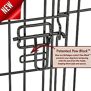 Dog Crate | MidWest Life Stages 36" Double Door Folding Metal Dog Crate | Divider Panel, Floor Protecting Feet, Leak-Proof Dog Pan | 36L x 23W x 25H Inches, Intermediate Dog Breed