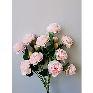 Artfen 5 Pcs Artificial Silk European Rose Flower Peony Flower Long Stem Fake Plastic Flowers Home Garden Party Wedding Decoration DIY Wreath Approx 26'' High Champagne Pink