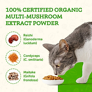 Animal Essentials MUSHROOM DEFENSE Supplement for Dogs & Cats - Critical Immune Defense, Reishi, Maitake, Cordyceps, Mushroom Powder Extract - 2.5 Oz (Pack of 1)