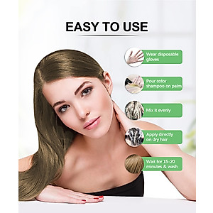 Herbishh Hair Color Shampoo - Magic Gray Hair Dye, Long-Lasting 3-in-1 Coloring Formula, 500ml, Ammonia-Free (Linen)