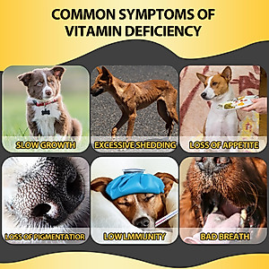 Dog Multivitamin Liquid, 13-In-1 Dog Vitamins Extra Strength to Improve Dog’s Digestive, Immune, Skin, Coat, Bone, Joints Health, 60 Ml Nature Dog Vitamins and Supplements for All Ages Breed Sizes Dog