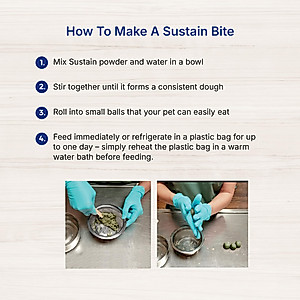 EMERAID Sustain Herbivore Mint Recovery Food for Herbivores 400 g