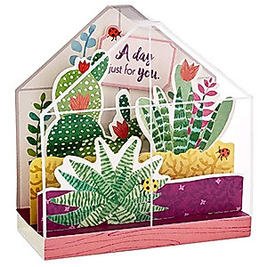 Hallmark Paper Wonder Displayable Pop Up Birthday Card or Mothers Day Card (Succulents),5 X 7. 2 inches,599RZW1015