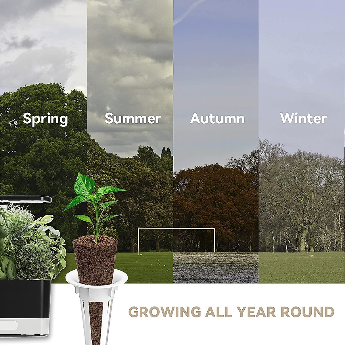 Seeds with Pod Kit Assorted Fruit & Vegetable for Aero, inbloom 5 Pods Hydroponics Growing System, 7-Pods (350+ Seeds Included Strawberry,Cherry Tomato,Dwarf Pea,Pepper,Radish,Beet,Cucumber)