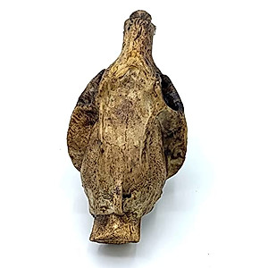 Screaming Aztec Death Whistle - Carnivore