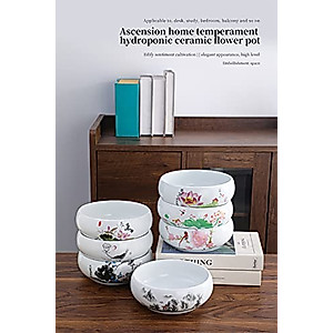 Nautance Beautiful 8-inch Ceramic Pot for Succulents and Indoor Plants,Planters for Succulents, Flower Pots for Your Home Decor or Office