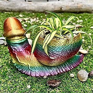 KEEP HOTTER Turtle Planter，Penis Planter，Turtle Planters for Outdoor Plants，Funny Planter，Penis Decor for Succulent Plants，Plant Pots for Fun Planting Experience for Home Office Desk Mini Ornament