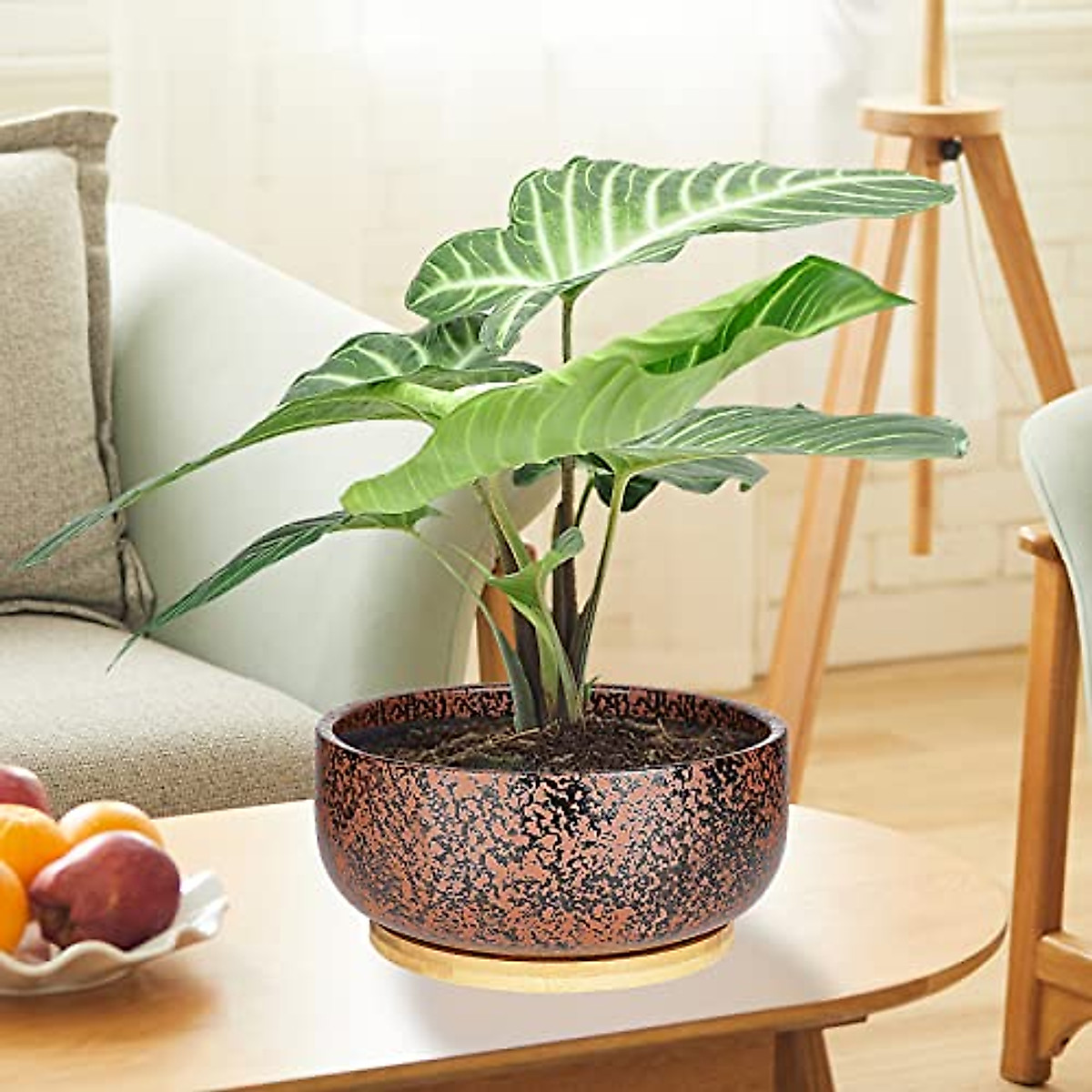 G EPGardening 8 Inch Terracotta Succulent Planter Pot with Drainage Hole Round Shallow Bonsai Planter Pot with Bamboo Saucer Flower Pot for Indoor Plants Black