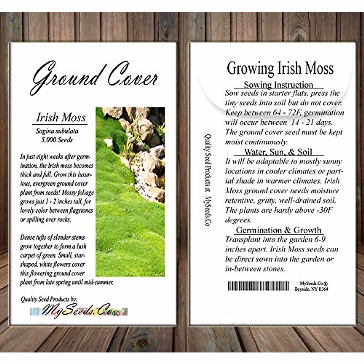 IRISH MOSS SEEDS, Sagina subulata, Heath Pearlwort, Perfect In Garden, Lawn Substitue or In-Between Stones, Groundcover Heath Pearlwort, Zones 4-10 - By MySeeds.Co (10000 Seeds)