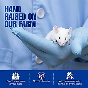 MiceDirect Frozen Rat Combo Pack of 10 Pinky & Fuzzie Feeder Rats - 5 Rat Pinkies & 5 Rat Fuzzies - Food for Corn Snakes, Ball Pythons, Lizards and Other Pet Reptiles-Freshest Snake Feed Supplies