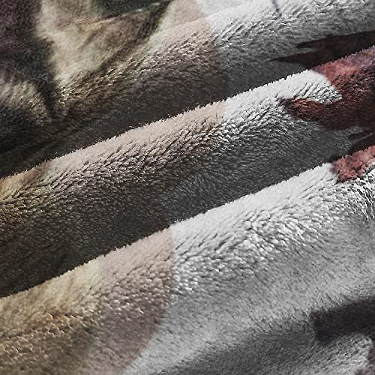 Dinosaur Blanket for Boys，Jurassic World Adults Dino Blanket，Soft Cozy Warm Throw Fleece Blanket for Couch Sofa Bed (Dinosaurs White, 60" L x 50" W)