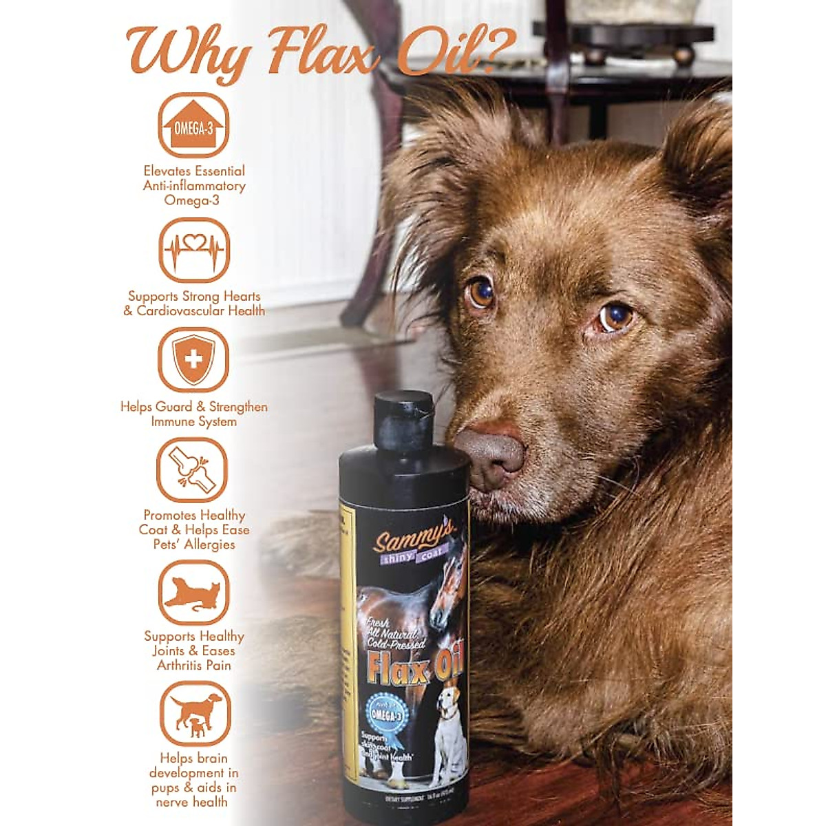 Sammy’s™ Shiny Coat Flaxseed Oil - 100% Pure, Natural Flax Oil, Cold-Pressed, Excellent Source of Omega-3 for Your Furry Friend, for Healthier Skin and Coat of Your Dogs, Cats, Other Pets - 32 Oz