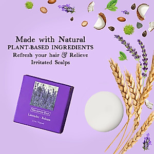 Adirondack Fragrance & Flavor Farm ADK Balsam Lavender Shampoo Bar for Oily Hair & Sensitive Scalp, Essential Oils, Sulfate-Free Plant-Based Vegan & Eco Friendly Solid Hair Cleanser, 2.5 Oz, 70 grams