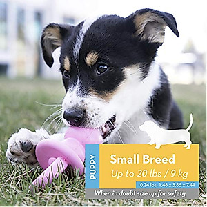 KONG Puppy Binkie - Small Dog Toy - Soft Teething Rubber - Treat Dispensing Dog Toy - Stuffable Dog Toy for Chewing & Playing - Dog Toy to Support Sore Gums & Teeth - Pink - Small Puppies