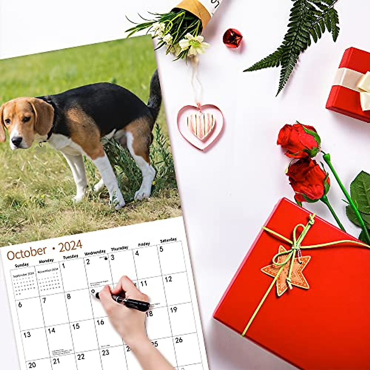 Gag Gift 2024 Wall Calendar, Funny Memes White Elephants Pooping Dogs Calendar 2024,14 Monthly Calendar, November 2023 - December 2024, 12" x 24" Opened Full Page Thick & Sturdy Paper for Organizing &