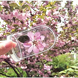 Dried Flower Bookmark Kit, Gicibady Dried Flower Bookmark, Gicibady Flower Bookmark, Flower Bookmark Kit, Flower Press Bookmark, Transparent Flower Bookmark Maker for Craft (20 Large Full Set)