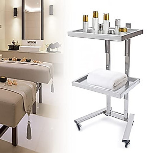 DNYSYSJ Beauty Salon Stand Rolling Cart, 2 Tier Spa Beauty Machine Holder Trolley, Salon Storage Trolley Stand, for Salons Studios Shops Medical Shops and Dentists