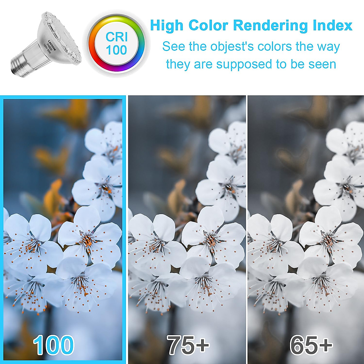 Lacnooe PAR20 Bulbs, 2 Pack 120V 50W PAR20 Flood Light Bulbs, Long Lifespan High Output Reflector Flood Lights, E26 Medium Base, Dmimable, Warm White