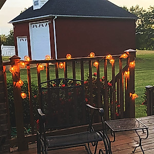 Solar Rattan Ball String Lights Outdoor Waterproof 8.5ft Led Decorative Light with Beaded Copper, Rattan Ball Outside Lighting for Christmas, Patio,Party, Backyard, Porch, Garden, Balcony, Warm White