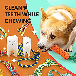 SHARLOVY Dog Chew Toys for Puppies Teething, Puppy Toys 16 Pack Dog Toys for Aggressive Chewers Puppy Chew Toys Peas Rubber Bone Dog Toy Bundle Small Dog Squeaky Toys for Small Dogs