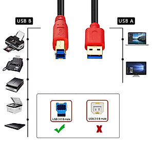 Tan QY USB 3.0 Cable A Male to B Male 20Ft, Type A to B Male Compatible with Hard Disk Drive,Printers,Scanner,USB Hub,Monitor and More (6m/20Ft)