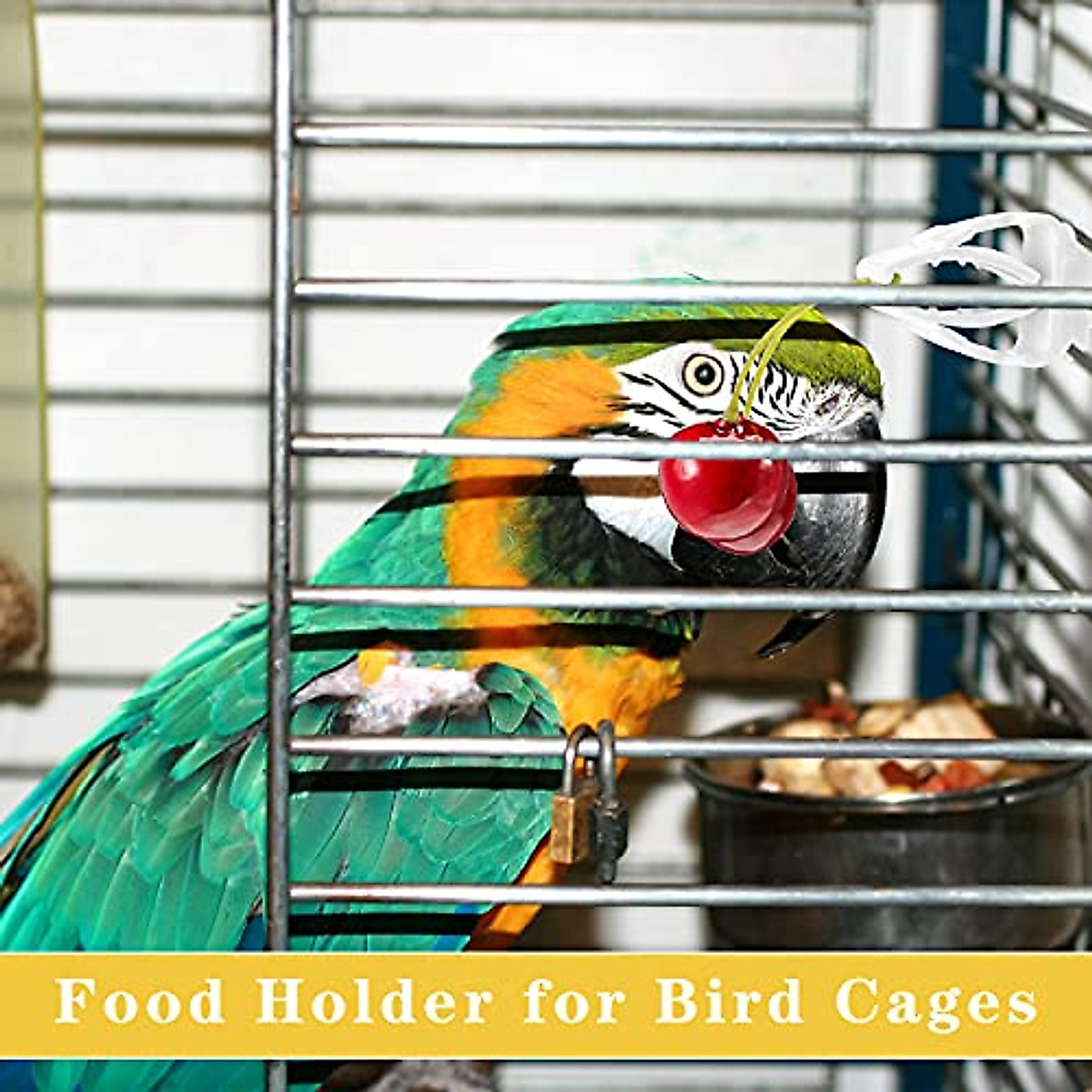 6 Pieces Bird Cage Food Holder Parrot Fruit Vegetable Clips Bird Cage Feeder Clip for Budgie Parakeet Cockatoo Macaw Cockatiel Conure