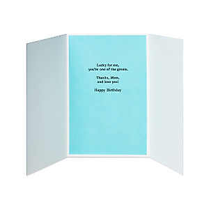 American Greetings Funny Birthday Card for Mom (Good Mom)