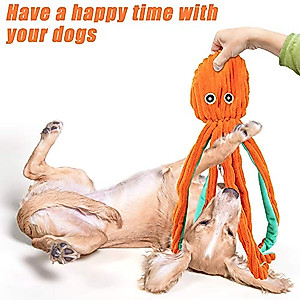 AWOOF Dog Toys No Stuffing, 5 Pack Dog Squeaky Toys Durable Dog Chew Toy Set for Puppy Small Medium Large Dog