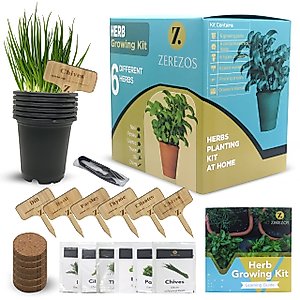 Bonsai Tree Starter Kit for Beginners with Potting Soil Discs, Live Seeds, Small Plant Markers, Gardening Shears, Planter Pots for Growing and Planting Natural Miniature DIY Indoor Gardens