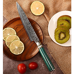 Utility Paring Knife 6 Inch Damascus Chefs Knife Utility Kitchen Knife Japanese VG10 Kitchen Paring Knives 67-Layer High Carbon Stainless Steel Knife Fruit Knife Christmas Gift