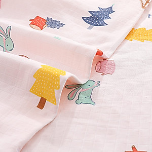 ARYIKUM Minky Baby Blanket Quilt,Lightweight Warm Baby Girls Blanket with Dotted Backing &Zipper,Baby Crib Comforter Toddler Quilt,Nursery, Stroller Blanket.(43x60 Inch,Zipper)