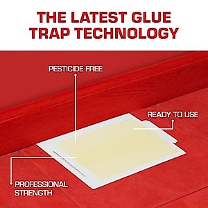 Tomcat Glue Boards with Immediate Grip Glue for Mice, Cockroaches, and Insects, Use Flat or Covered, Ready-To-Use, 4 Traps